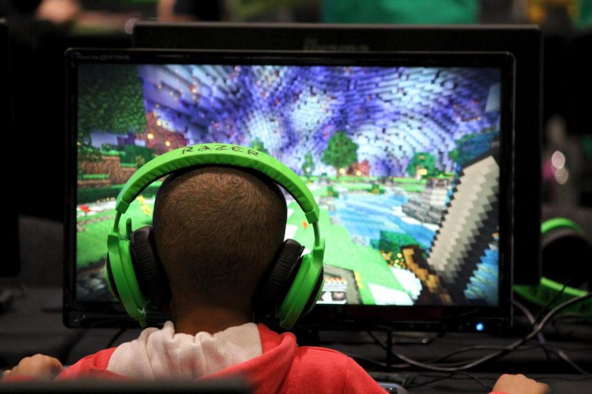 Minecraft celebrities draw record crowd to gaming convention | The ...