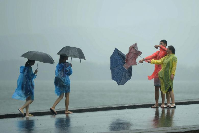 Typhoon Chan-hom grounds domestic flights in South Korea | The Straits ...