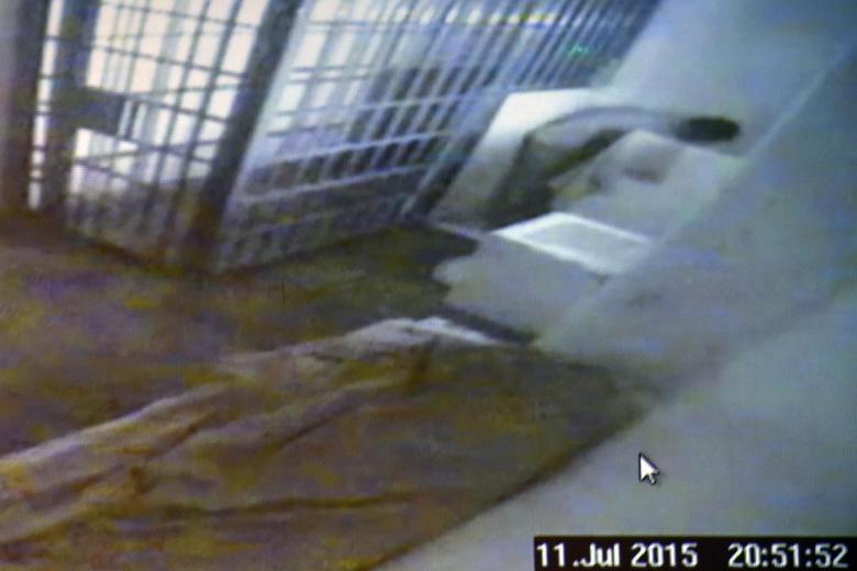 Mexico shows video of drug lord Guzman before escape | The Straits Times