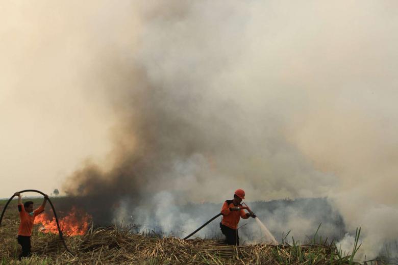 Indonesia expects to control haze from forest fires within 30 days ...