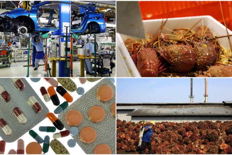 Tpp Trade Deal Some Winners And Losers The Straits Times