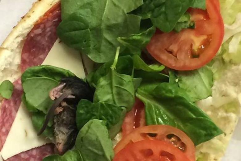 Post showing rat found in US man's Subway sandwich goes viral | The ...