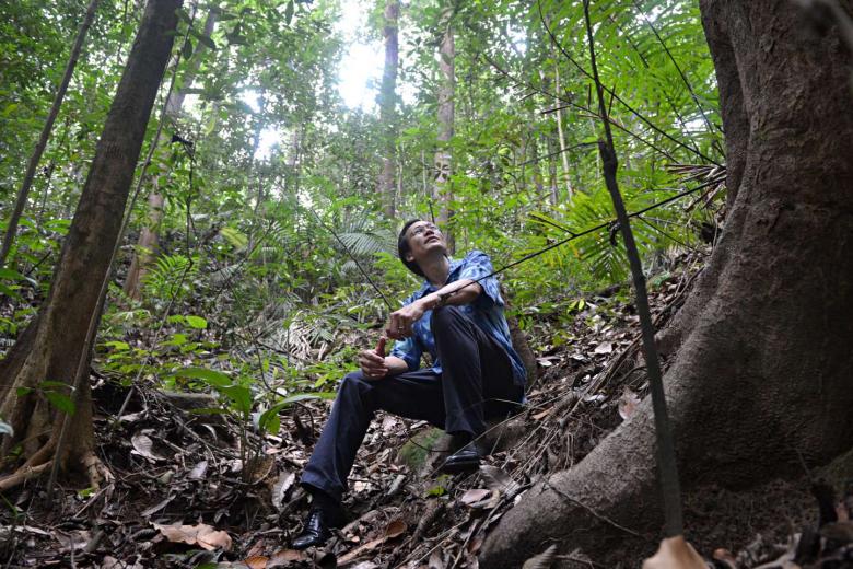 From The Straits Times Archives: Meet Mr Nature | The Straits Times