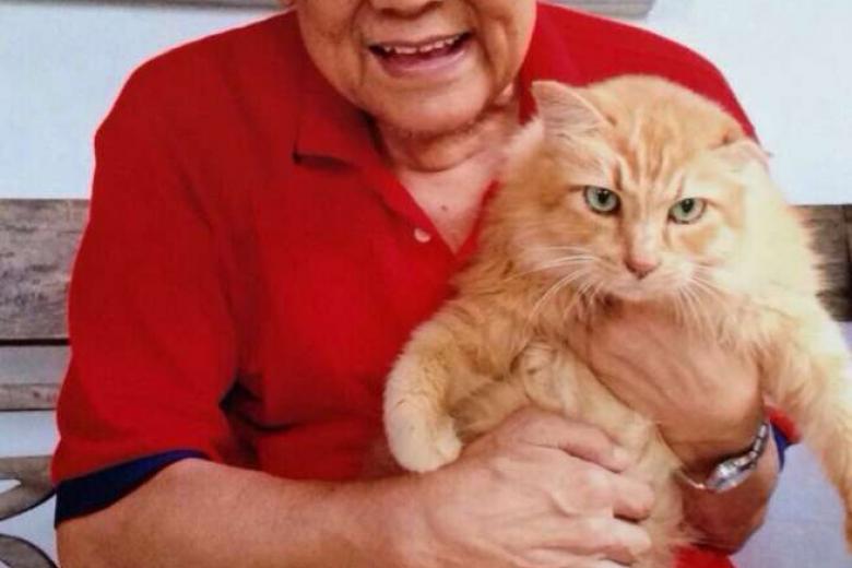 Veteran radio and TV personality Tan Swee Leong dies of rectal cancer ...