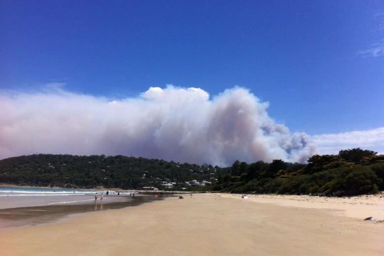 Australians flee bushfires at famous beauty spot | The Straits Times