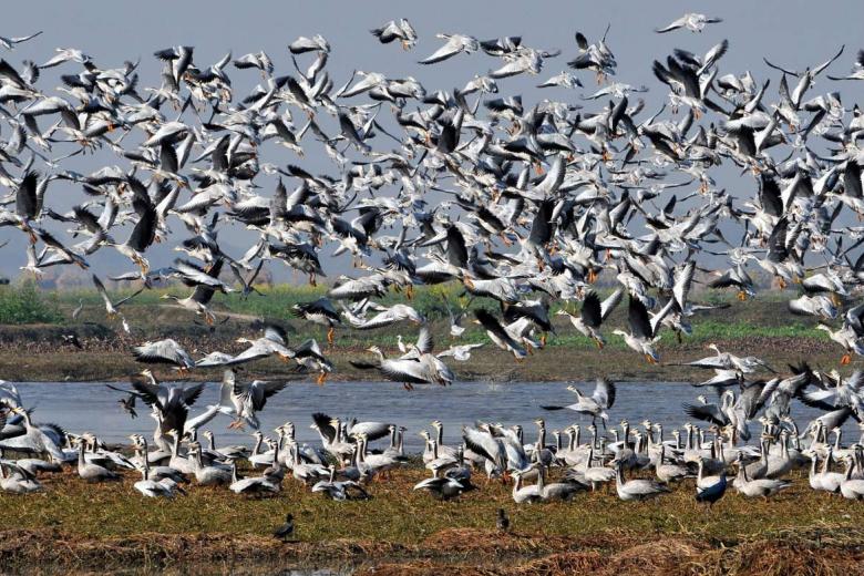 Today in Pictures, Dec 29, 2015 | The Straits Times