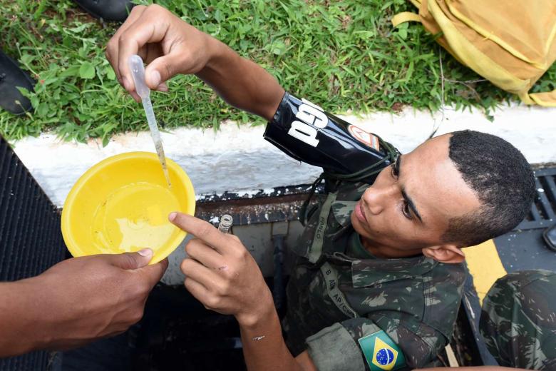 Brazil to fight Zika virus by sterilising mosquitoes with gamma ray ...