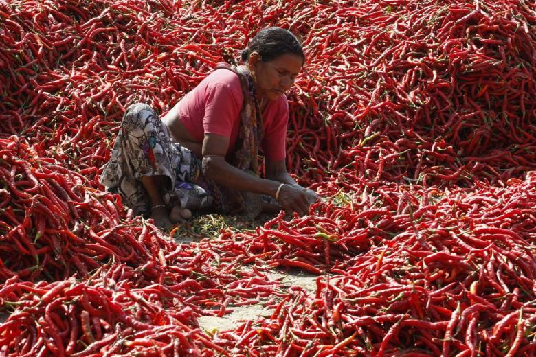 Feel the heat: 6 chillies that are red hot and spicy | The Straits Times