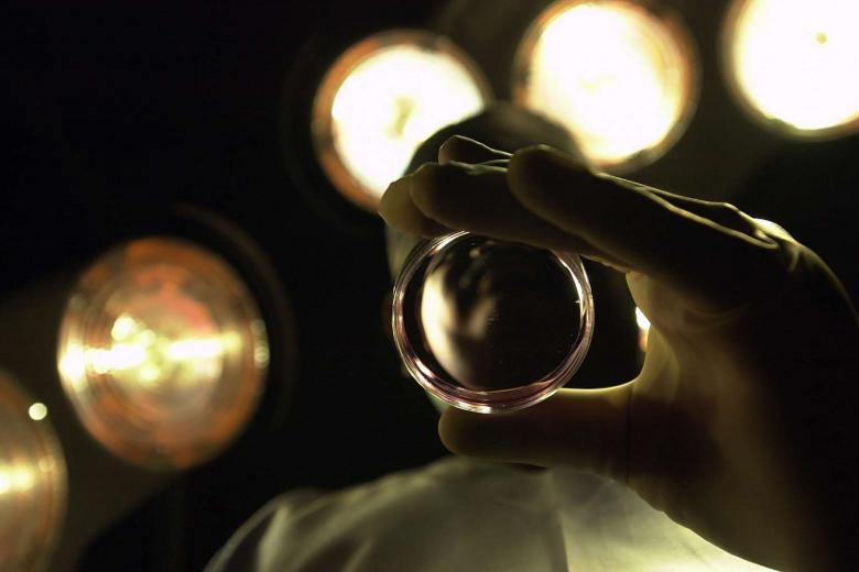 Scientists grow two-week-old human embryos in lab for first time | The ...