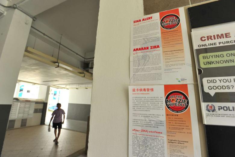 One week on: 7 things about the Zika outbreak in Singapore | The ...