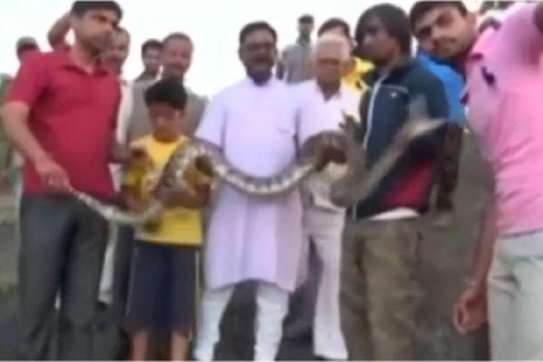 Man in India attacked by python while taking selfie | The Straits Times