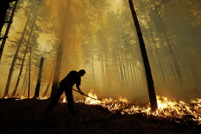 Siberia forest fires engulf 2 million hectares: Greenpeace | The ...