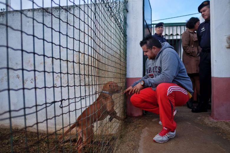 Jailhouse dogs check in at Portugal prison | The Straits Times