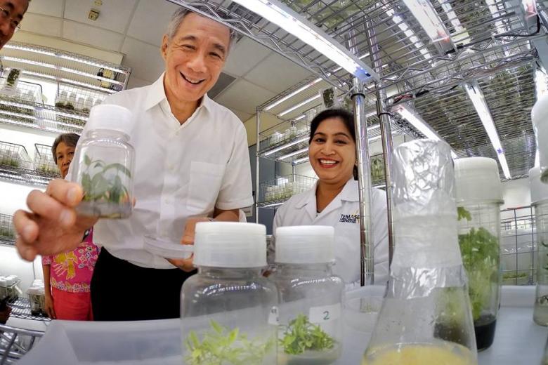PM Lee looks forward to trying made-in-Singapore 'Temasek Rice' after ...