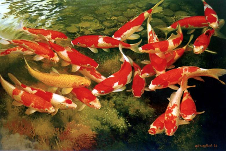 Japan fish exorcists battered by animal abuse claims | The Straits Times