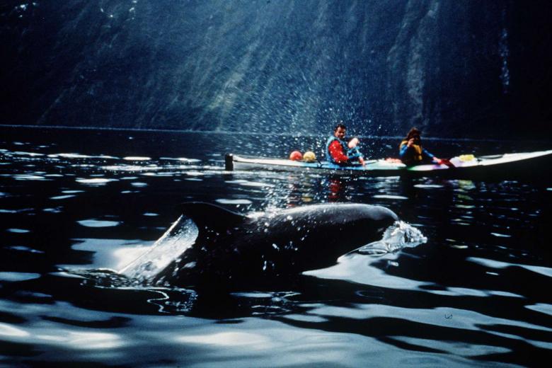 New Zealand part of sunken 'lost continent': Scientists | The Straits Times