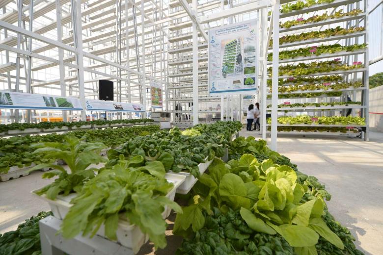 Parliament: More help given to farmers to boost productivity, manpower ...