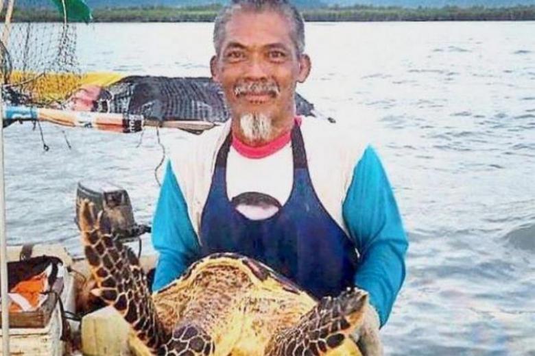 Endangered hawksbill turtle caught in fisherman's net freed | The ...