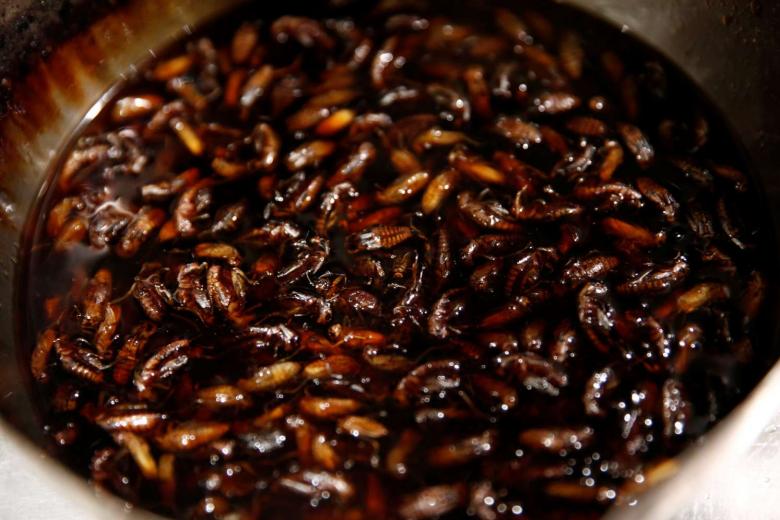 Ramen with deep-fried insects a sell out in Tokyo | The Straits Times