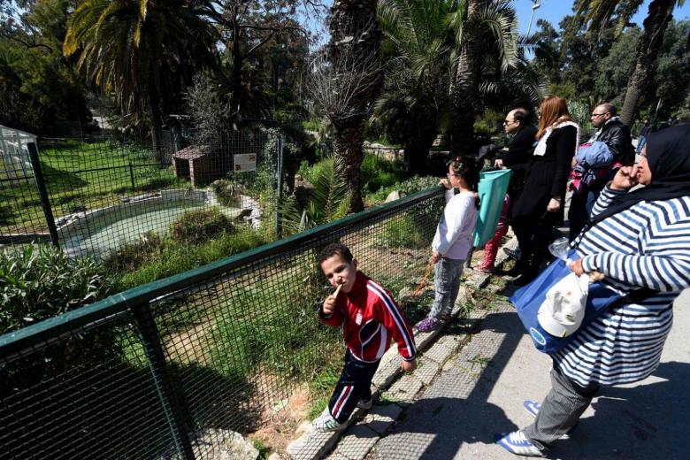 Hands off the animals: Tunis zoo where croc stoned to death reopens ...