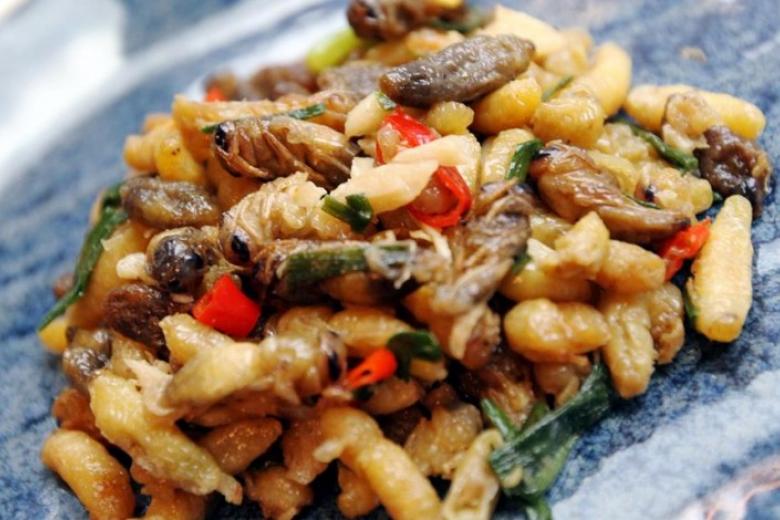 Learn to cook and eat insects with new cookbook | The Straits Times