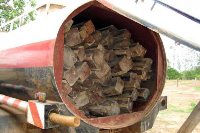 Cambodia 'investigating' claims of timber smuggling to Vietnam | The ...