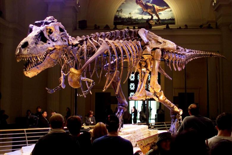 Tyrannosaurus Rex had a bite force equal to the weight of three cars ...