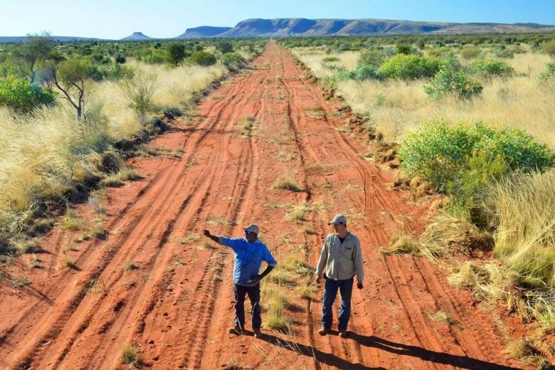 Australia begins construction of cat-free zone in desert to save ...