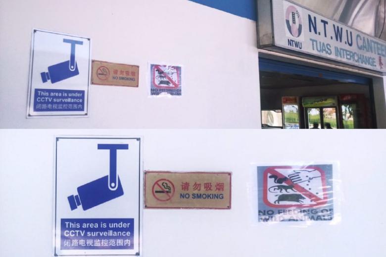 Posters put up after wild boar viral video; AVA warns public not to ...