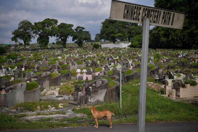 Singapore's biggest and only active public cemetery will shrink by one ...