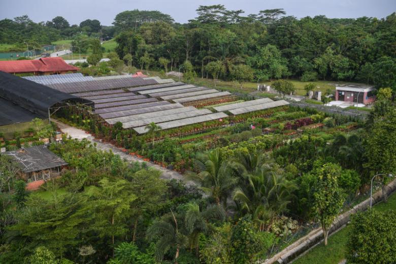 Tengah Air Base to be expanded; more than 80,000 graves exhumed, 4 ...