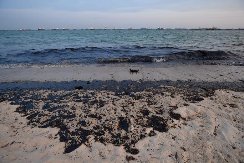 Oil slicks spotted at East Coast Park beach | The Straits Times