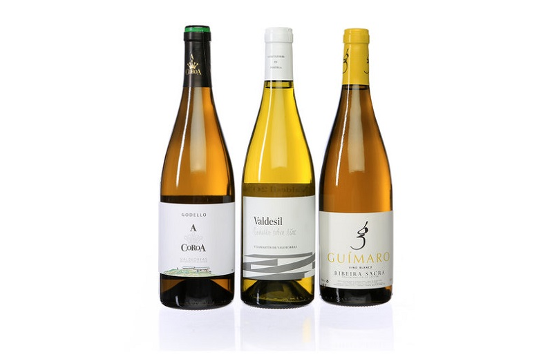 Godello, a case study in the character of wine | The Straits Times