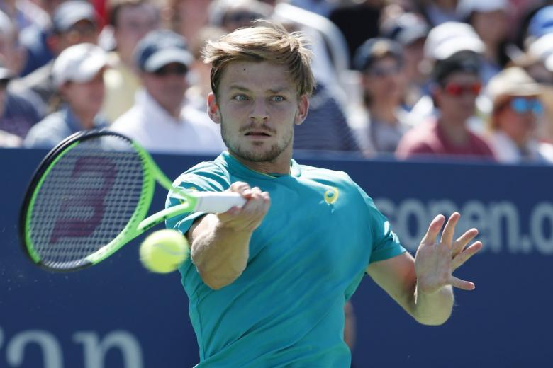 Tennis: Goffin declares himself fit for Australia Davis Cup tie | The ...