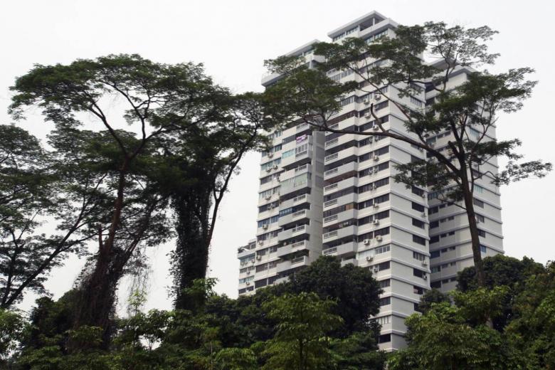 Singapore's largest ex-HUDC estate Braddell View hopes to sell en-bloc ...