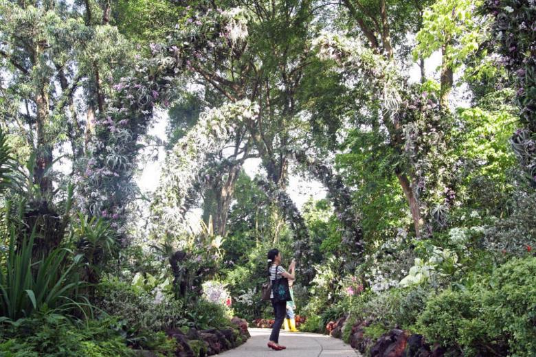 Botanic gardens are world's 'best hope' for saving threatened plants ...