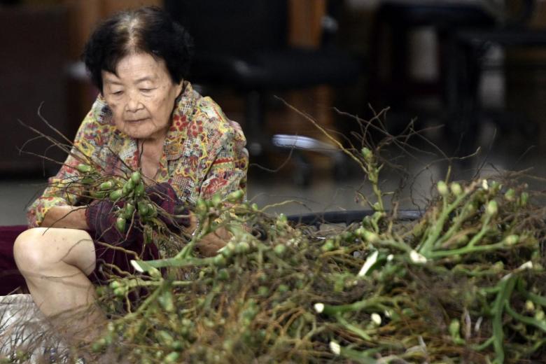 Taiwan's battle with betel nut addiction an uphill task | The Straits Times