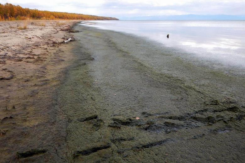 World's deepest lake in peril, scientists warn | The Straits Times