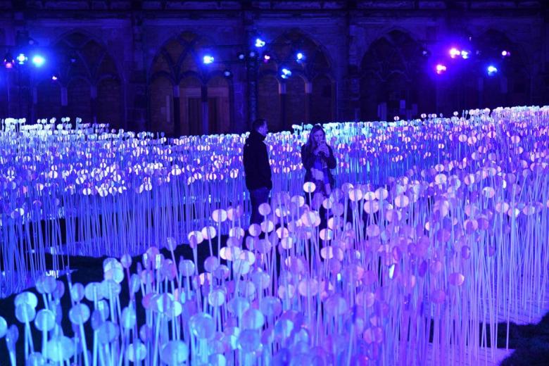 In Pictures: Lumiere Durham light festival | The Straits Times