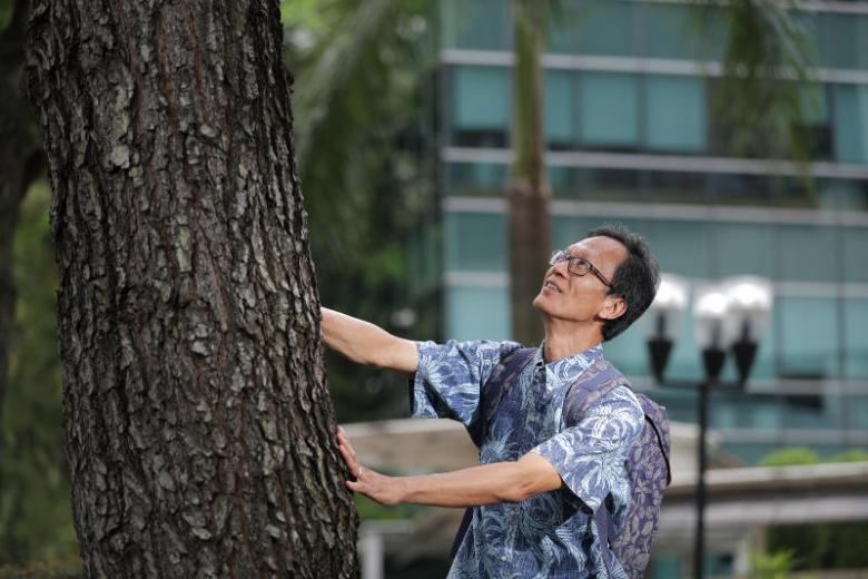 Man who 'raised' the young of endangered tree wins President's Award ...
