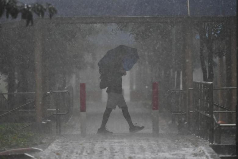 Wet weather, cooler temperatures forecast in first half of December ...