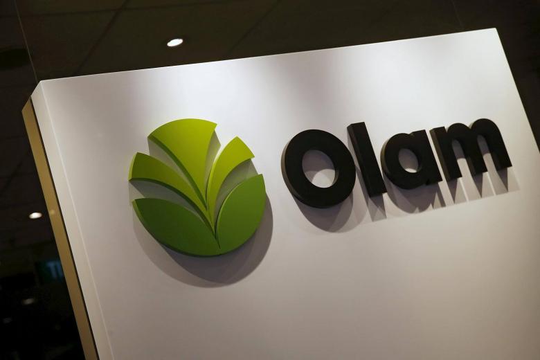 Olam, Republic of Gabon joint venture gets another sustainable palm oil ...
