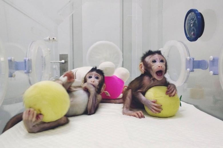 Today in Pictures, Jan 25, 2018 | The Straits Times