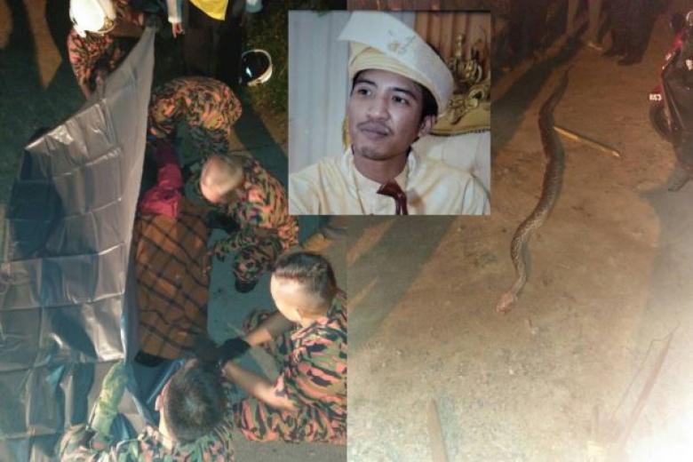 Malaysian villager who attempted to snare python ends up crushed to ...