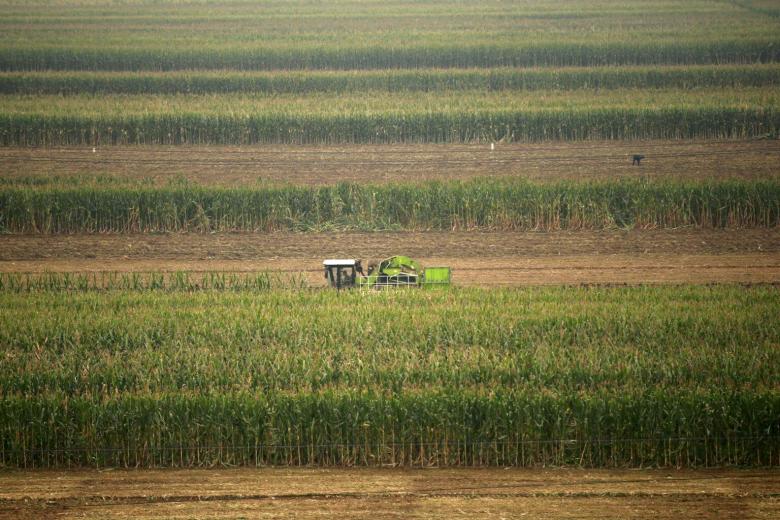China to make 90 per cent of contaminated farmland safe for crops by ...