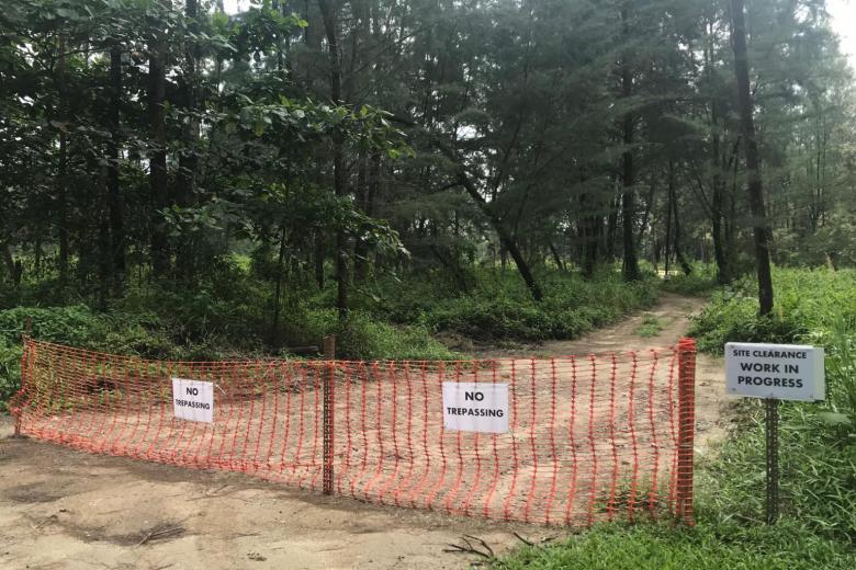 Opening of Outward Bound Singapore Coney Island campus to be delayed to ...
