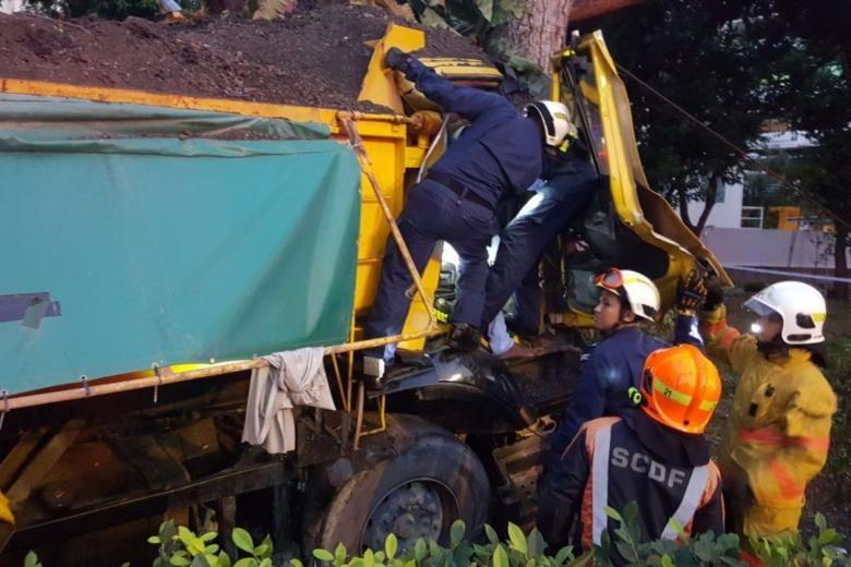 Man trapped after tipper truck crashes into tree on East Coast Parkway ...