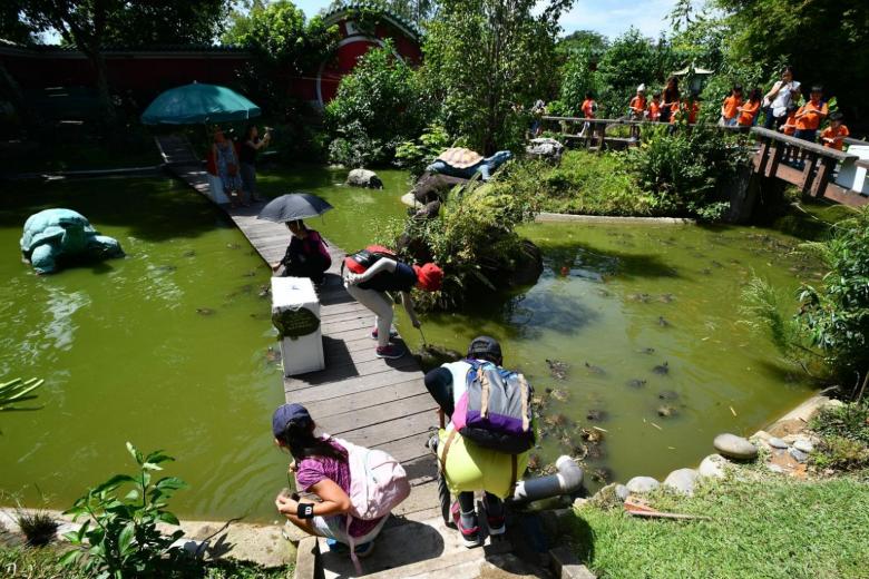 Turtle museum fights for survival: 6 other quirky museums to explore in ...