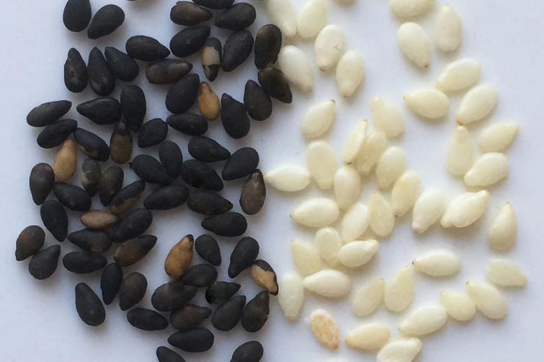 7 healthy types of seeds to add to your diet | The Straits Times