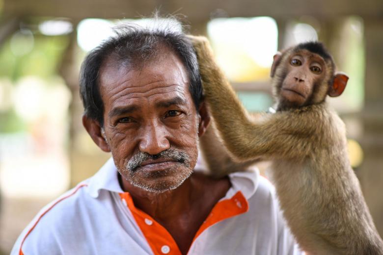 Serious monkey business at Malaysian school for macaques | The Straits ...